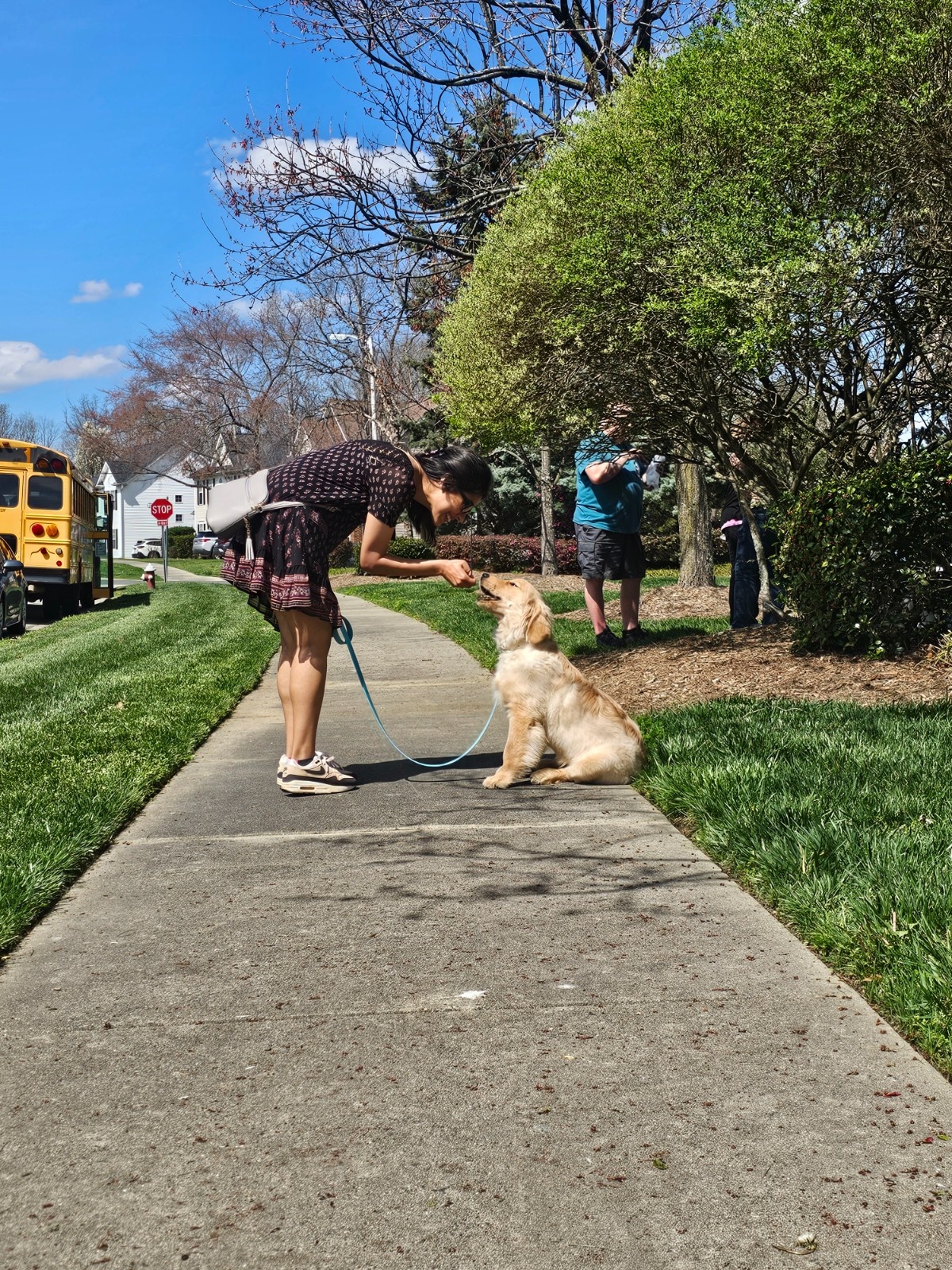 The Human Element of Dog Training